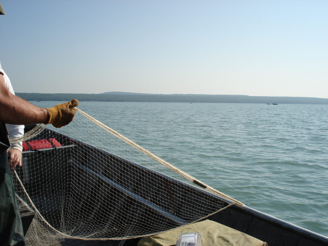 Fish survey nets to be placed in St. Marys River | News, Sports, Jobs ...
